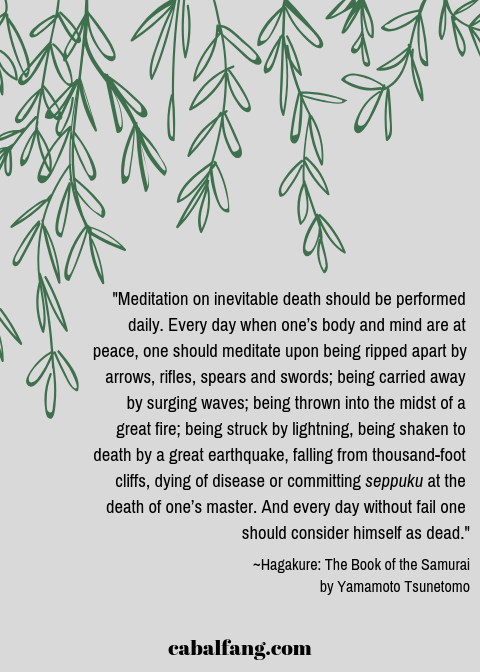 Escape Plan Revisited: Cabal Fang Training Involution #145 | Robert ...